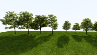 Trees Demo by Shapespark